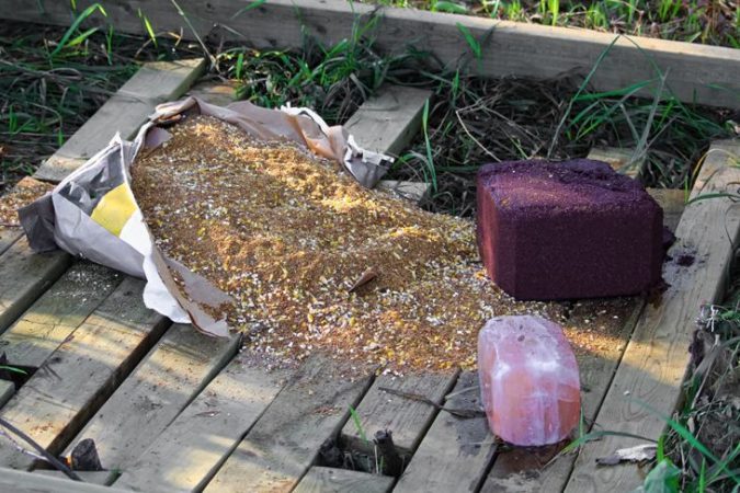 Best Salt Block For Deer 2025 – Reviews & Buyer’s Guide (May. 2025)