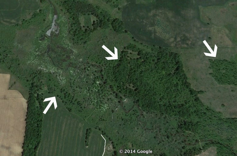 How to Read Topo Maps For Deer Hunting: All The Helpful Tips You Need