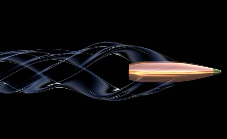 Why Is It Important to Choose the Right Bullet for Your Gun?