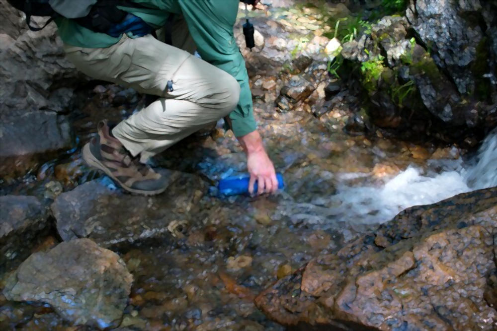 Must-Have Basic Wilderness Survival Skills To Keep You Safe and Alive Must-Have Basic Wilderness Survival Skills To Keep You Safe and Alive