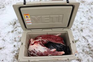 How Big Of A Cooler For A Deer?