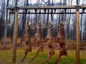 Common Deer Hanging Pole Ideas?