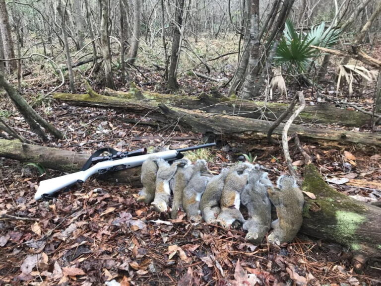 Can You Kill A Squirrel With A Bb Gun?